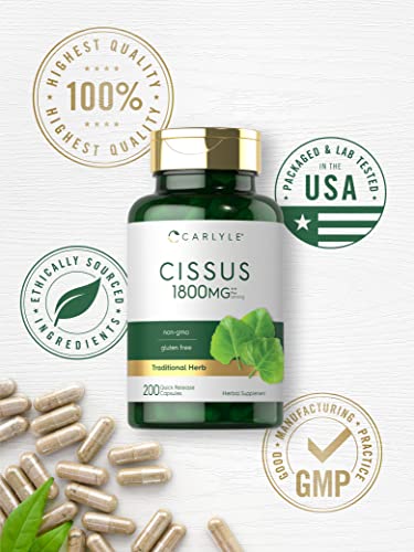 Carlyle Cissus for active lifestyle