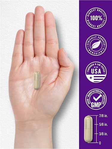 Carlyle digestive enzymes for everyday comfort
