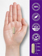 Carlyle digestive enzymes for everyday comfort