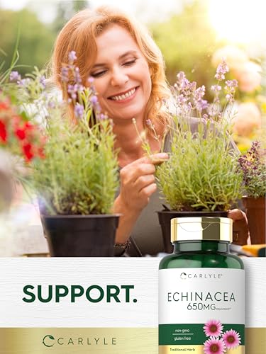 Carlyle echinacea for active lifestyles