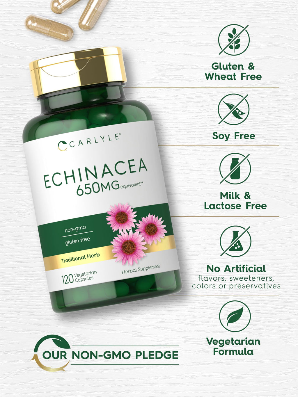 Carlyle echinacea for overall wellness