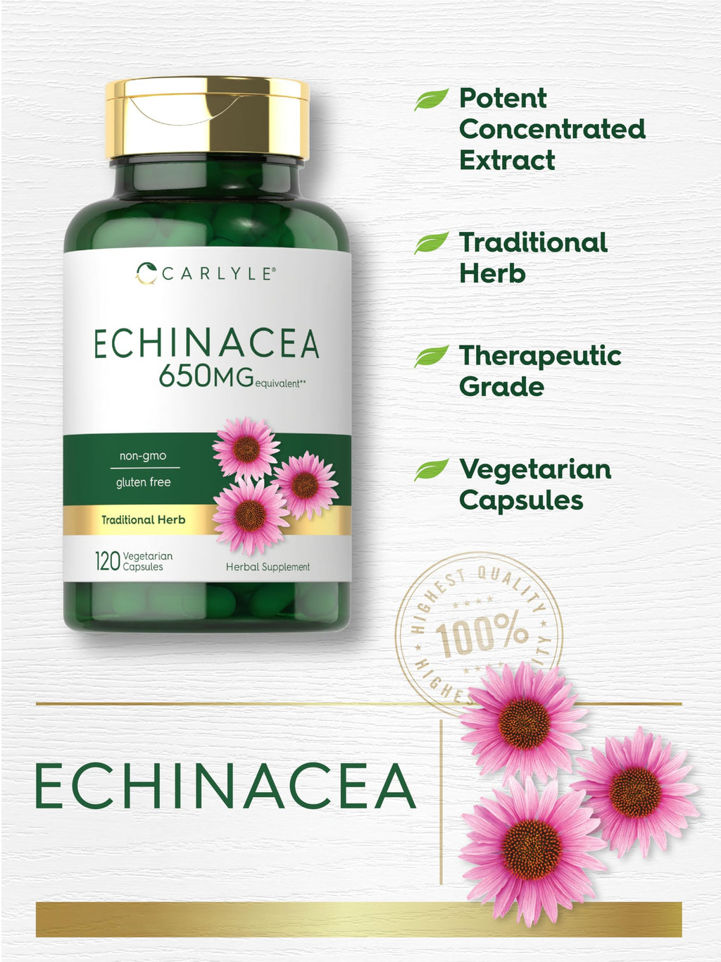 Carlyle echinacea for seasonal wellness