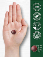 Carlyle Ginkgo Biloba for mental clarity