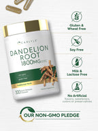 Carlyle herbal dandelion root benefits