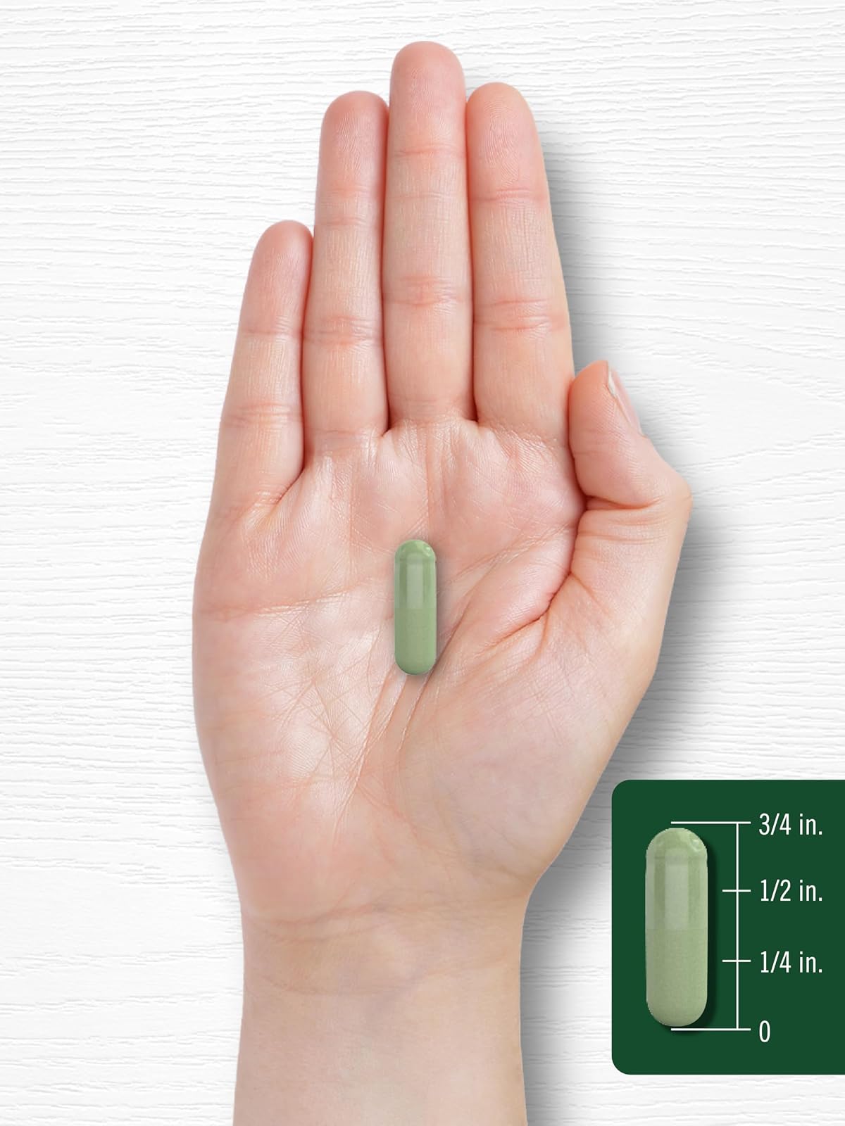 Carlyle Moringa Oleifera for senior health