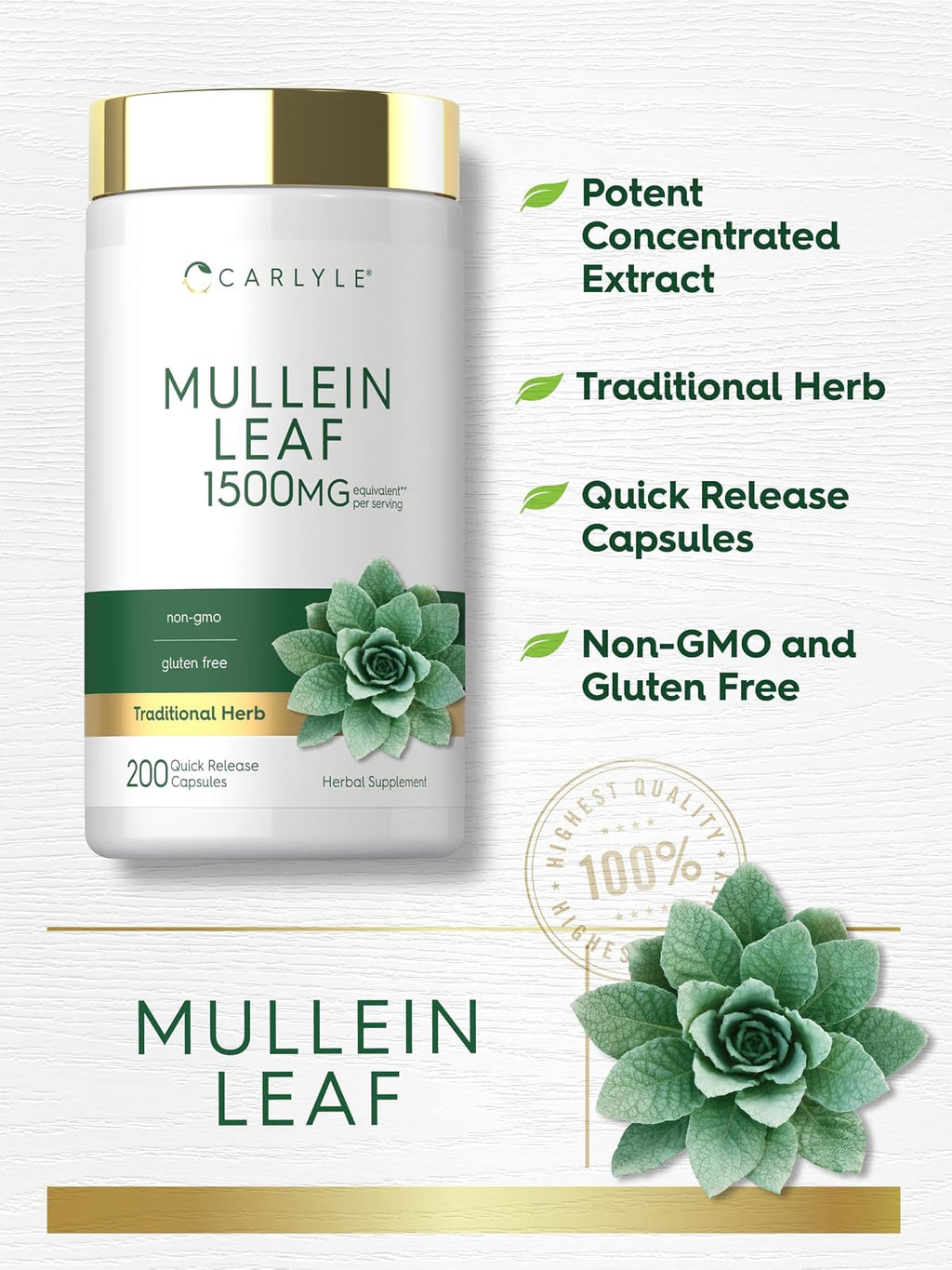 Carlyle Mullein for respiratory health