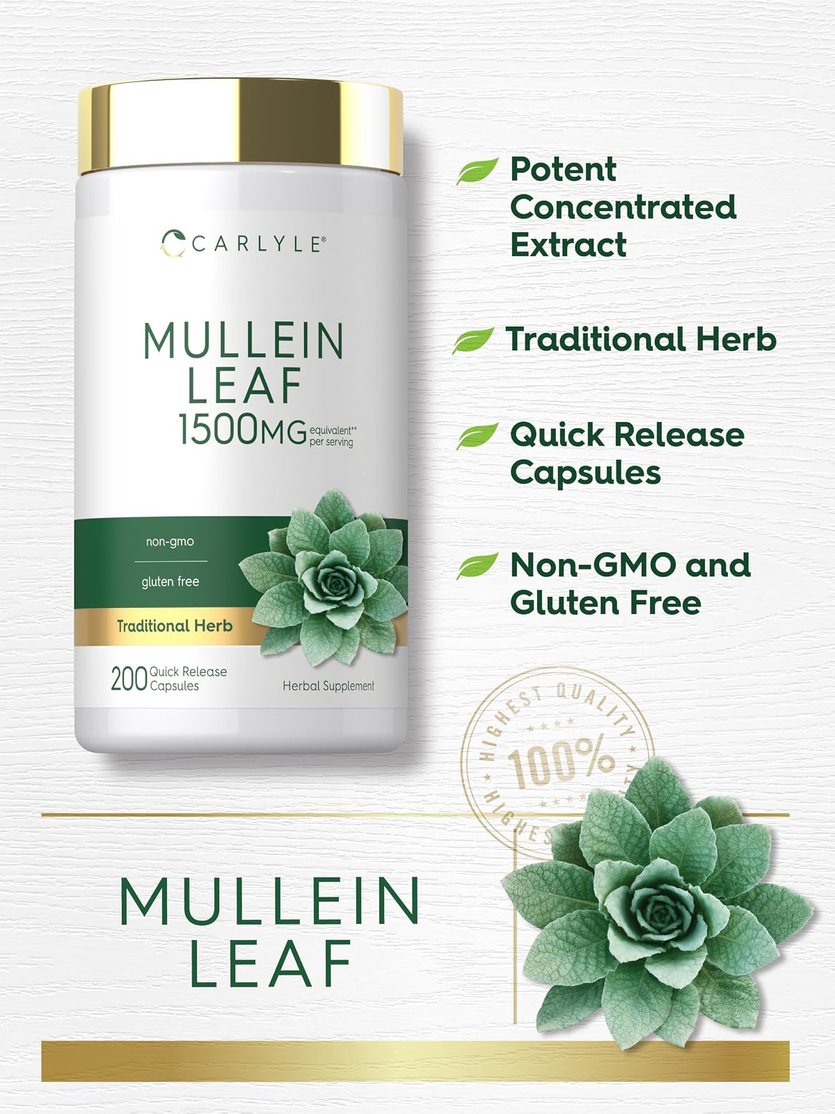 Carlyle Mullein for respiratory health