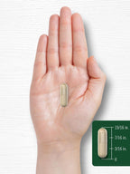 Carlyle multivitamin for seniors’ nutrition