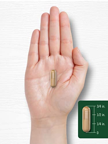 Carlyle multivitamin for seniors vitality