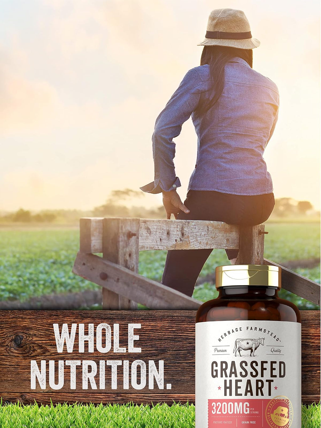 Carlyle multivitamin for seniors