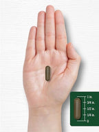 Carlyle Triphala capsules for balanced digestion