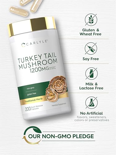 Carlyle turkey tail mushrooms for energy