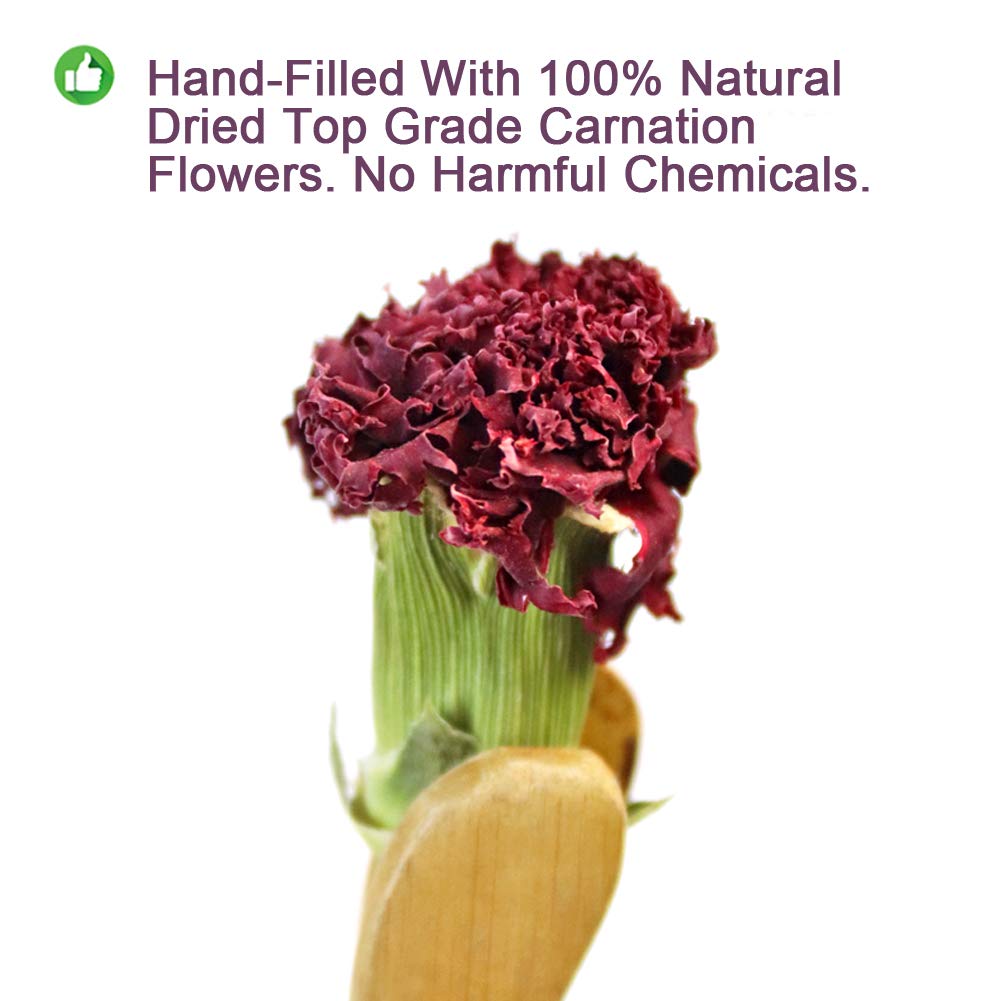 carnation tea rich in antioxidants