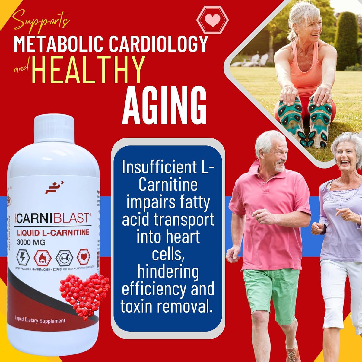 CARNIBLAST L-Carnitine for daily energy