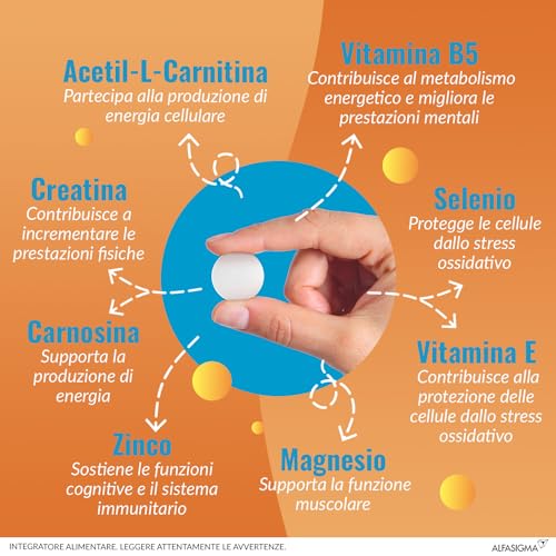 Carnidyn Plus for balanced nutrition