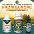Carnivora turmeric for digestive health