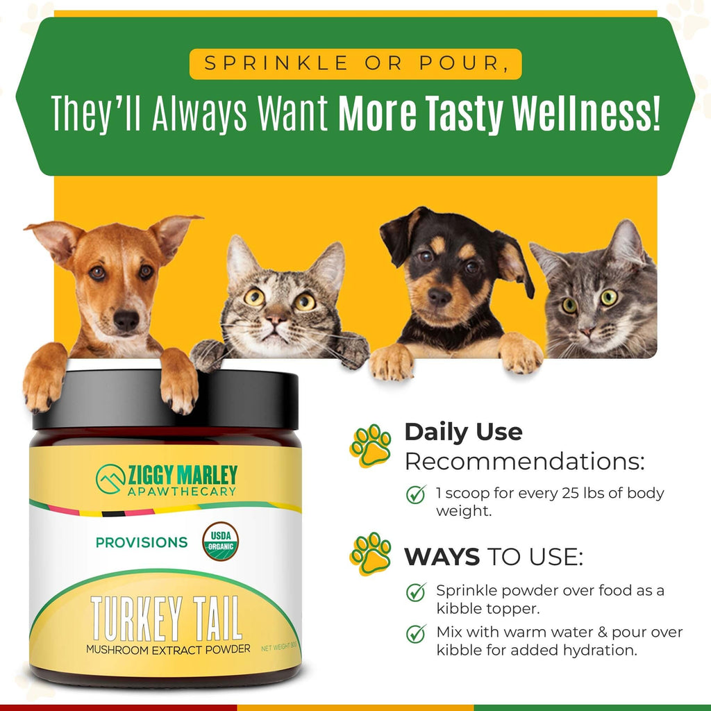 cat-friendly mushroom powder for vitality