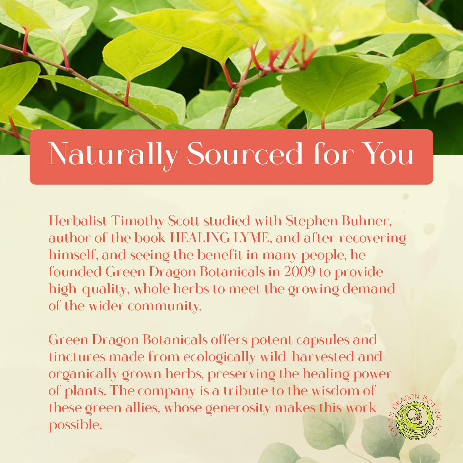 Cat's Claw for overall wellness
