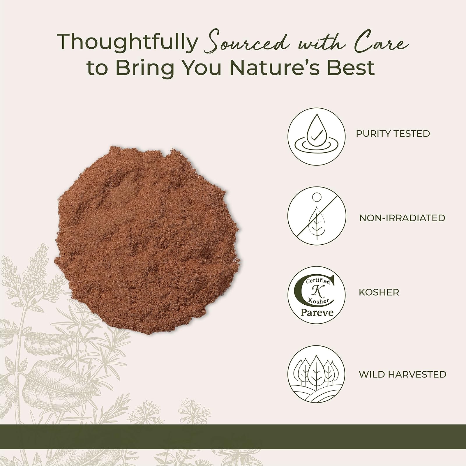 Cat's Claw powder for wellness