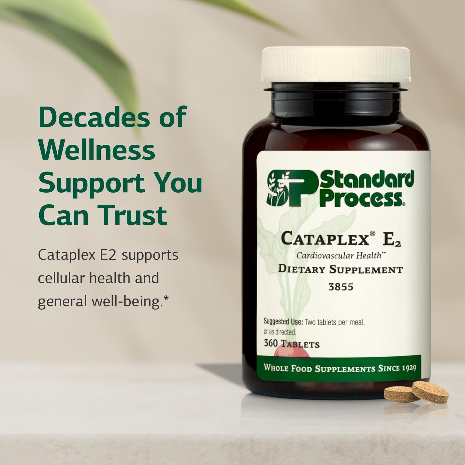 cataplex E2 multivitamin for men