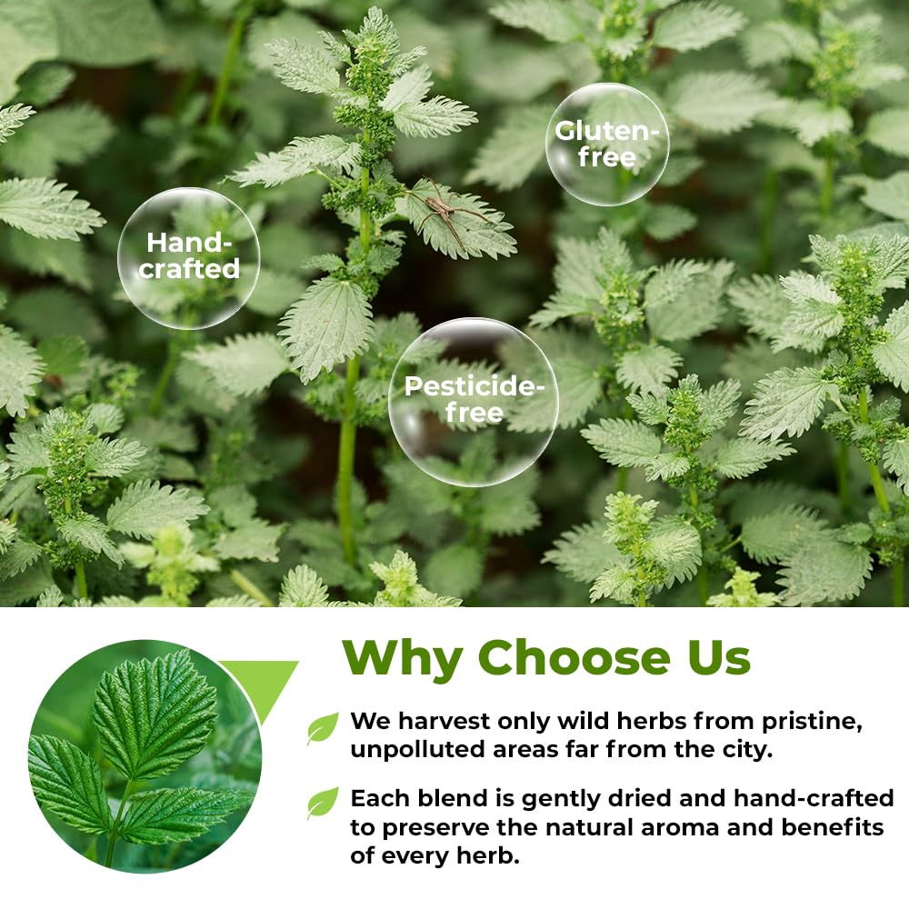 catnip herbal infusion for wellness