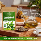 catnip tea for digestive health