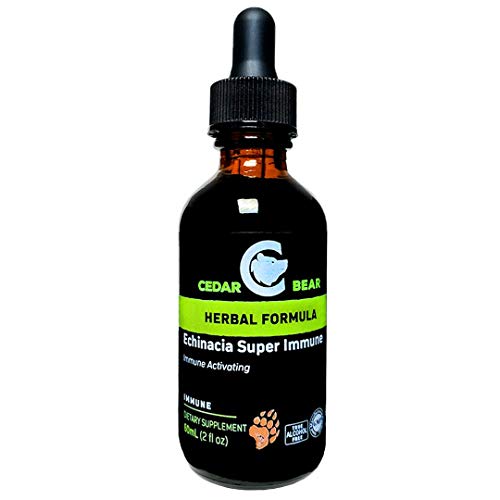Cedar Bear echinacea immune support