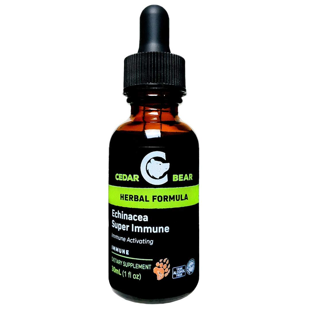 Cedar Bear echinacea immune support