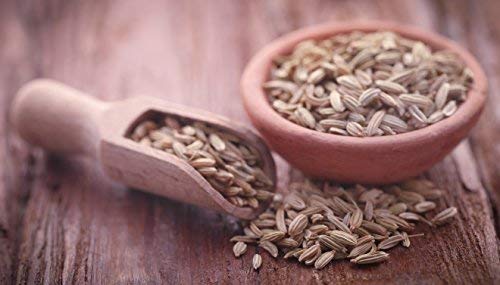 Cedar Bear ginger for gut health