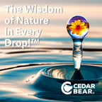 Cedar Bear herbal cleanse liquid