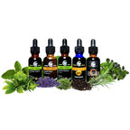 Cedar Bear herbal multivitamin benefits