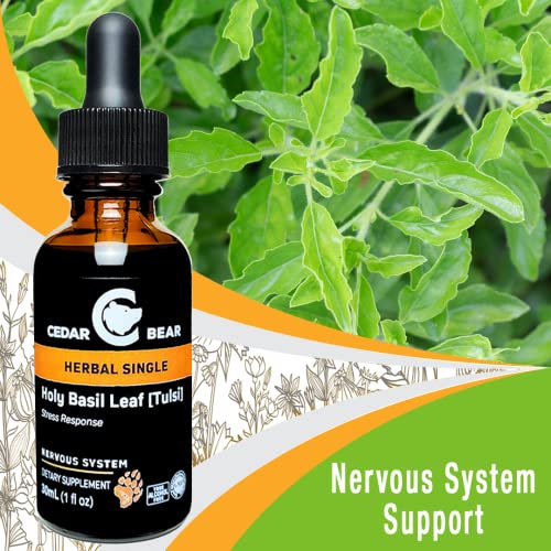 Cedar Bear herbal stress relief