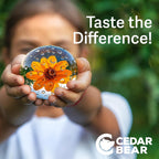 Cedar Bear kids herbal remedy