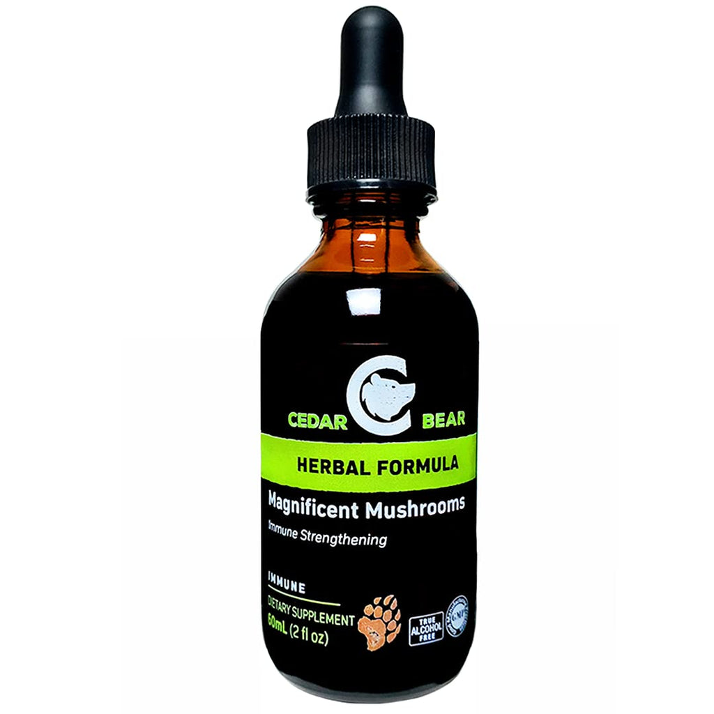 Cedar Bear mushrooms for immune support