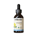 Celandine extract for liver health