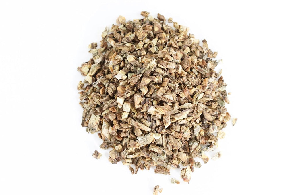 celebration herbals burdock root benefits