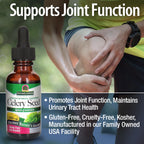 celery seed extract for healthy digestion