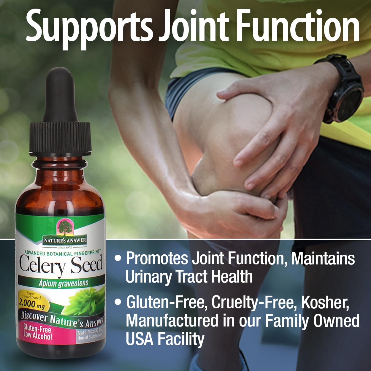 celery seed extract for healthy digestion