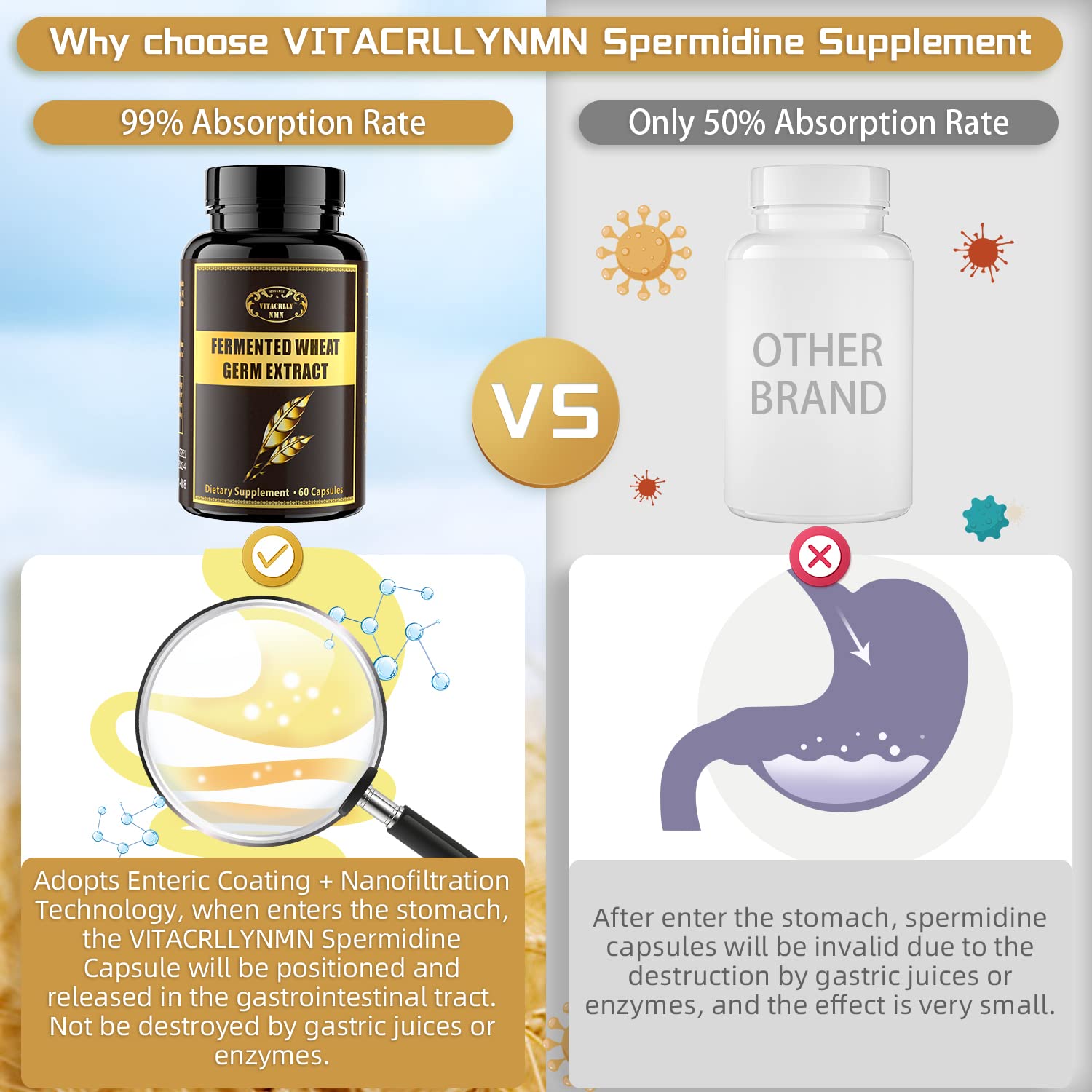 Cell renewal with spermidine capsules
