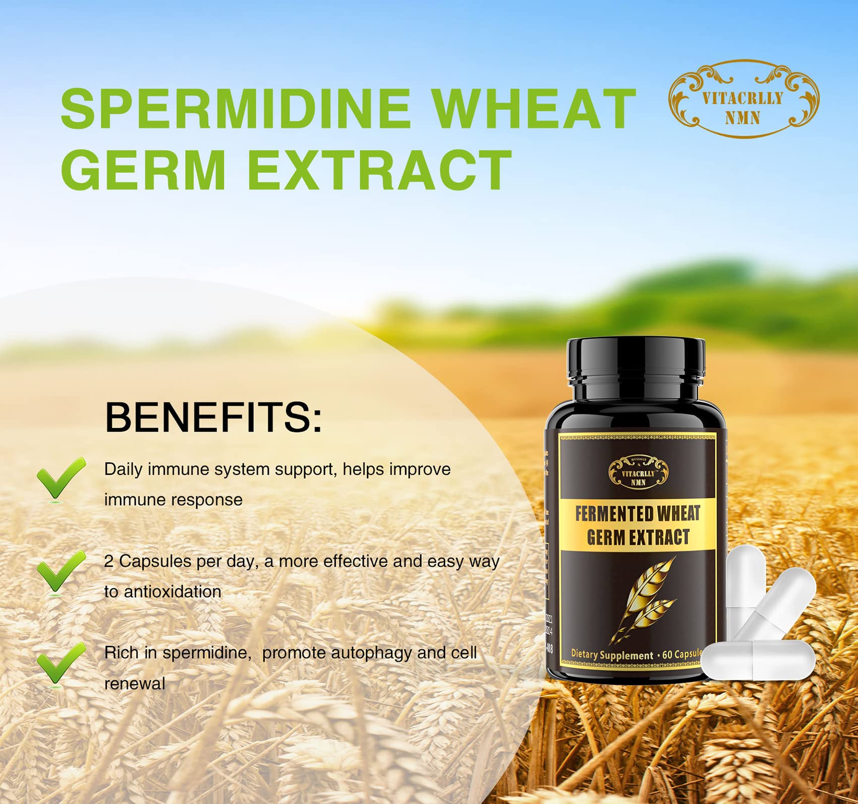 Cell renewal with spermidine capsules