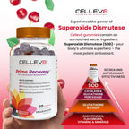 Cellev8 recovery gummies for seniors