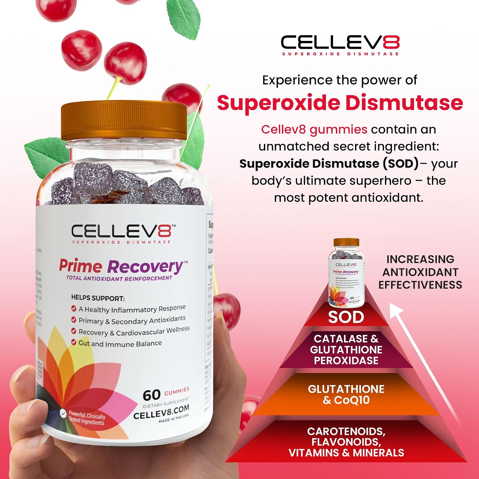Cellev8 recovery gummies for seniors