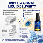 Cellqueue liquid vitamin B formula