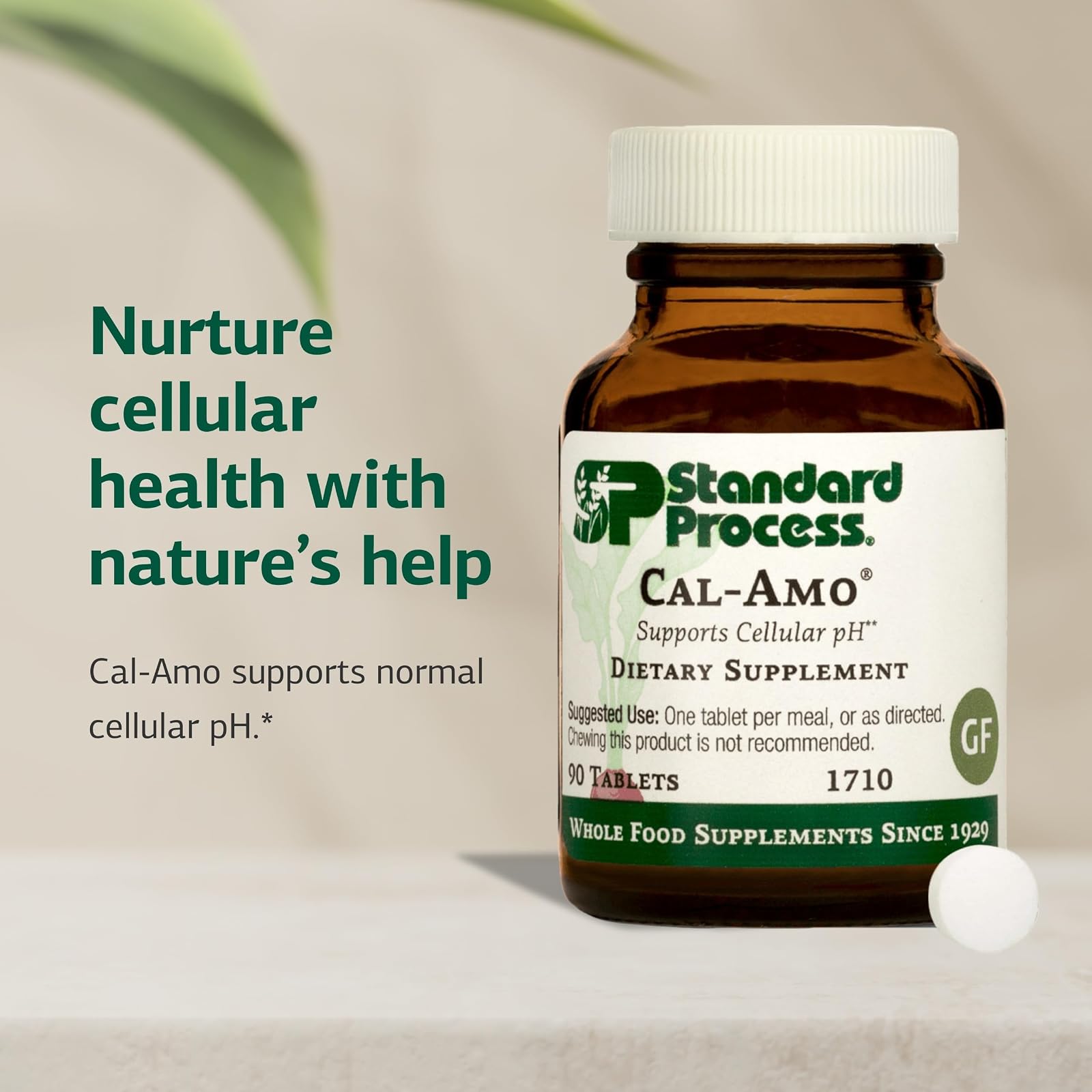 Cellular health support with Cal-Amo