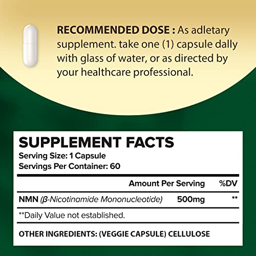 cellular repair with NMN supplement