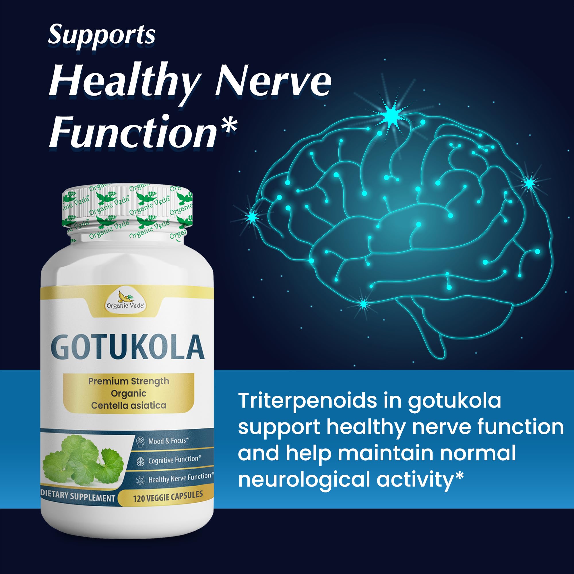 Centella Asiatica for enhanced memory