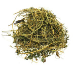 Cerasee herb herbal tea benefits