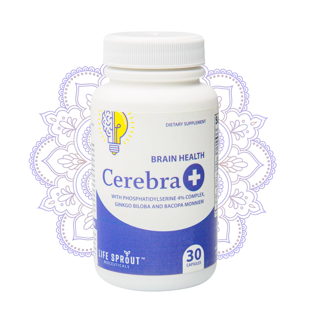 Cerebra+ ginkgo biloba capsules for memory