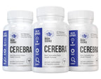 Cerebra multivitamin for women’s wellness