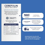 Cerefolin vitamin B12 support for memory